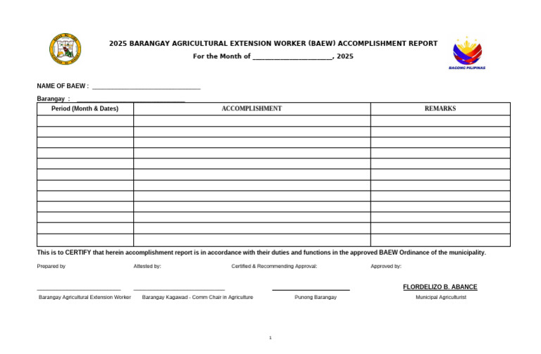 2025 BAEW Accomplishment Report | PDF