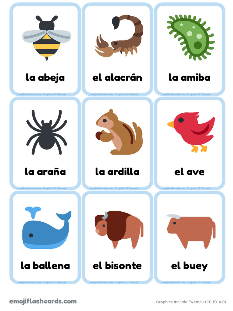 Spanish Animals Small A4 Flashcards | PDF | Zoología
