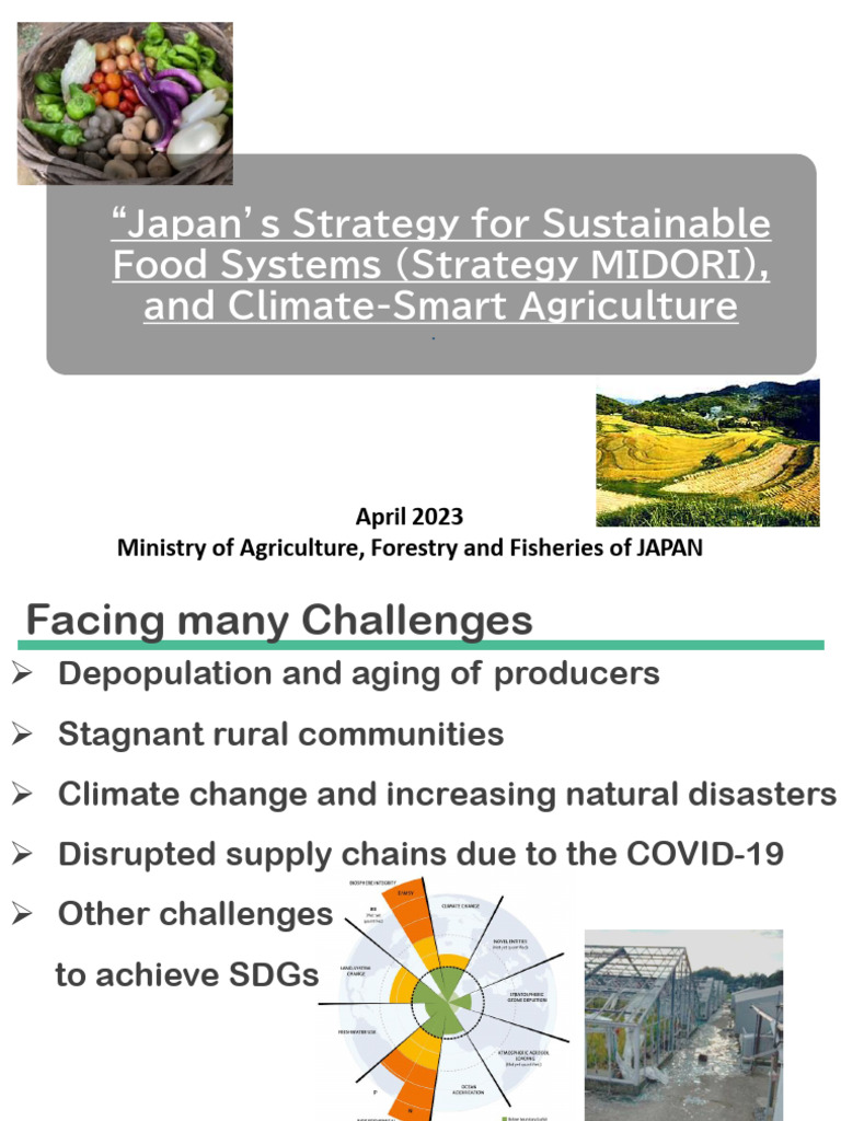 04 Strategy MIDORI and Climate-Smart Agriculture | PDF | Agriculture ...