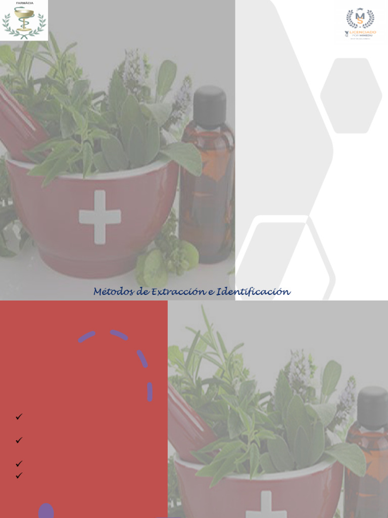 clase1introduccion_farmacognosia_NOCHE | PDF | Farmacognosia | Farmacología