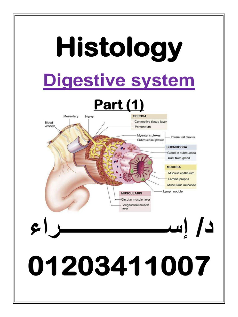 GIT General Plan, 2025 | PDF