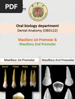 Maxillary Second Molar Anatomy Overview | PDF | Dental Anatomy | Tooth
