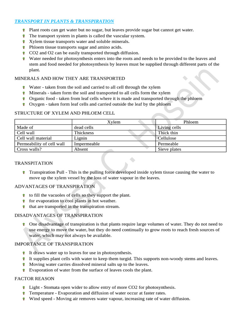 BIO - Mok Exam Revision Notes (Hints) | PDF | Leaf | Tissue (Biology)
