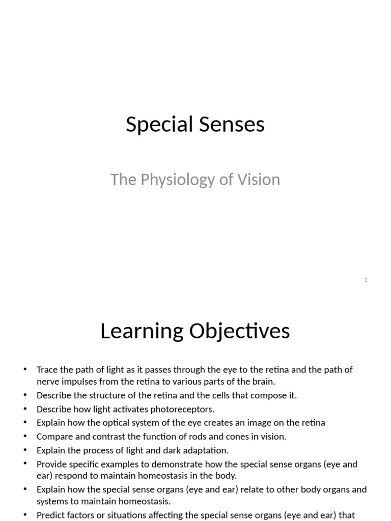 Physiology of Vision - Slides | PDF | Visual System | Eye