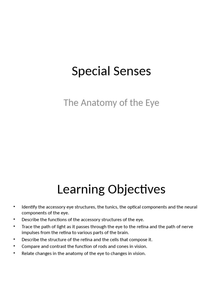 Anatomy of The Eye - Slides | PDF | Retina | Eye