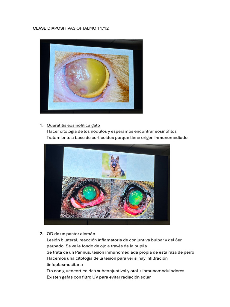 Casos Practicos Oftalmo 11.12 | PDF | Córnea | Ojo