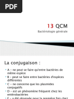 Programmation QLM CP 2023-2024-Chat Noir New | PDF | Eau | La nature