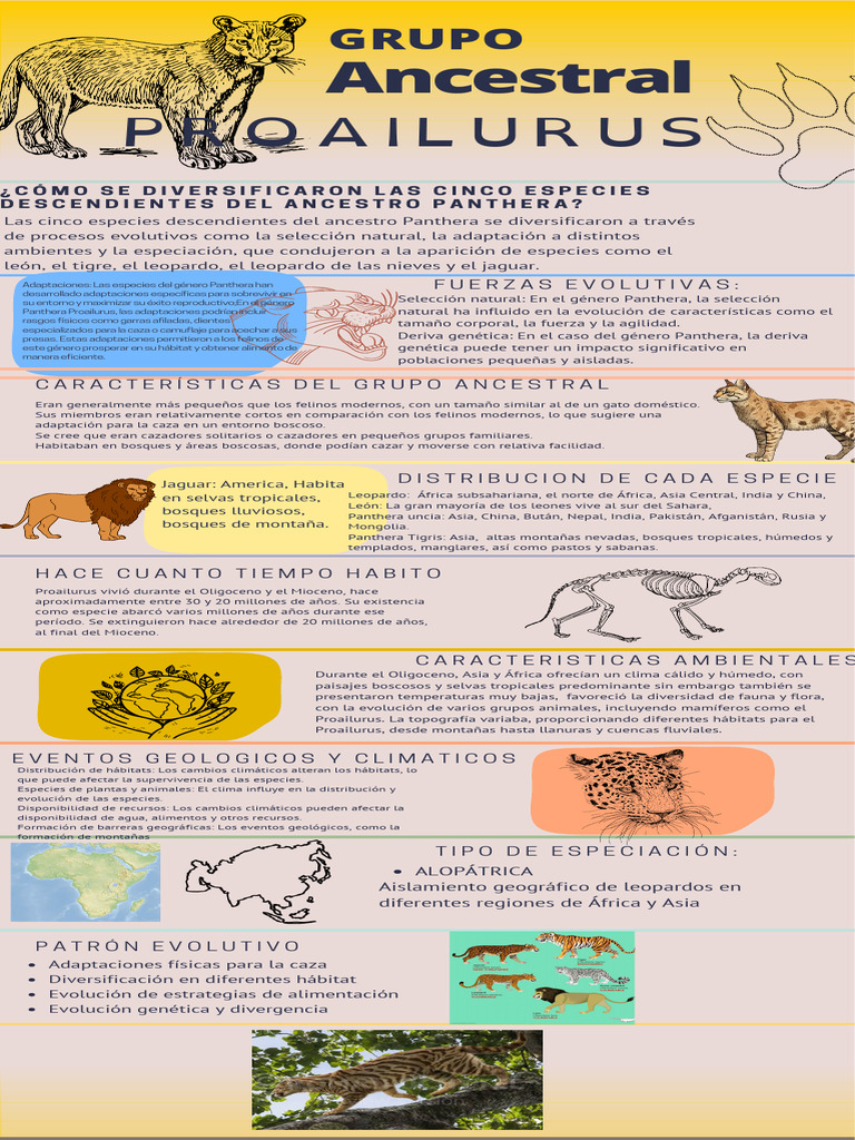 Grupo Ancestral Proailurus | PDF | Panthera | Felidae