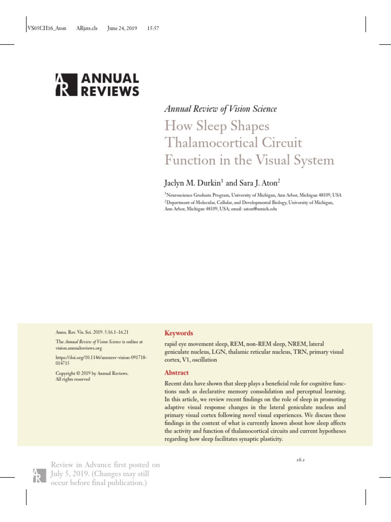 How Sleep Shapes Thalamocortical Circuit Function | PDF | Thalamus ...