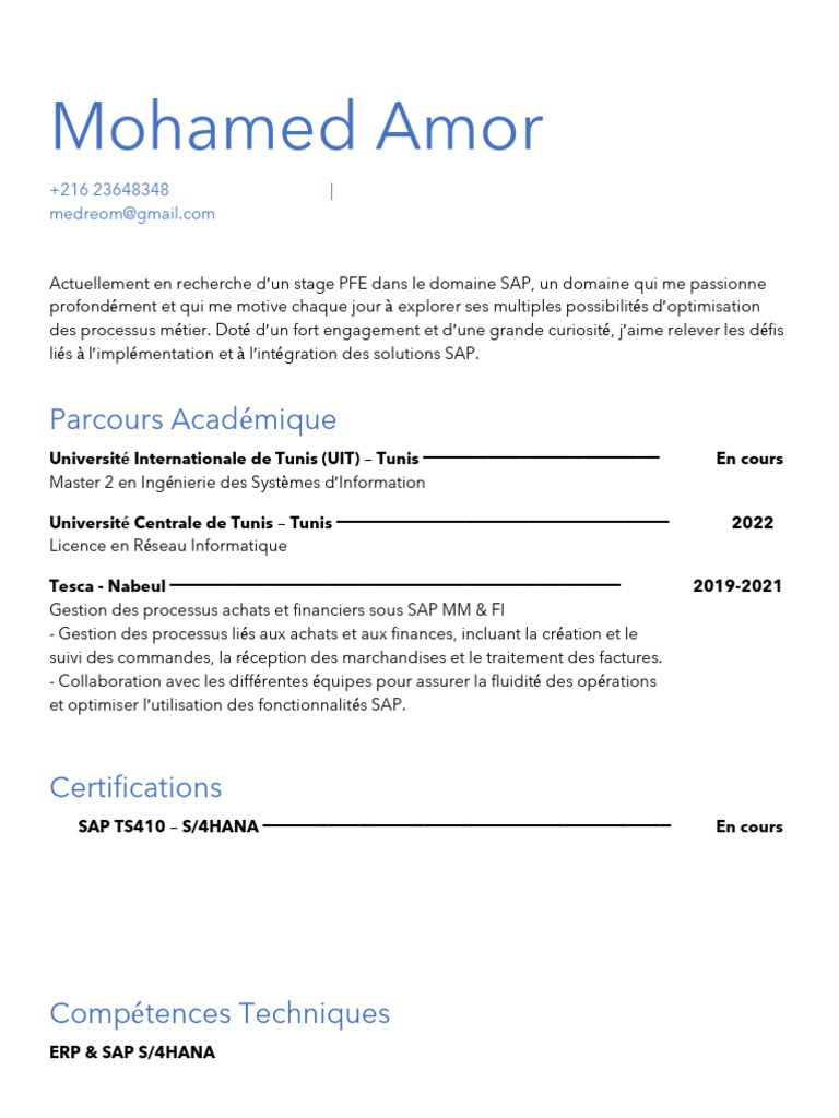 Stage PFE en SAP - Mohamed Amor | PDF
