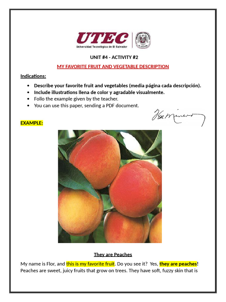 Unit #4 - Activity #2 | PDF