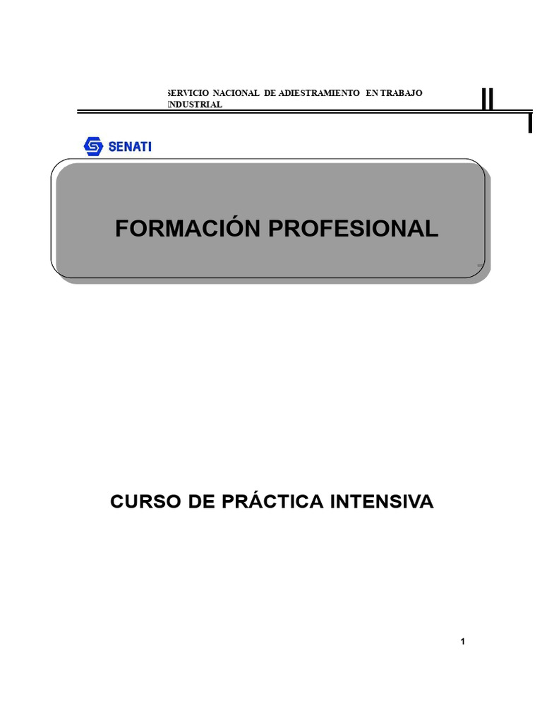 Informe de Prácticas de Astrid Robles | PDF