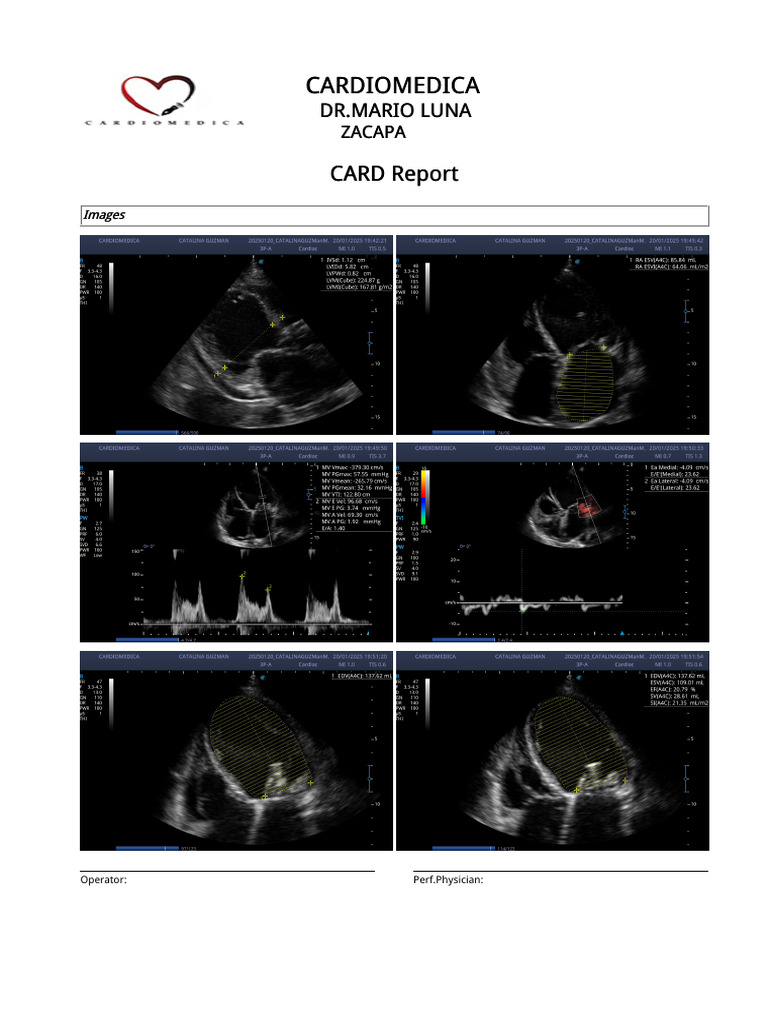 Report Cardiac20250120195311 | PDF