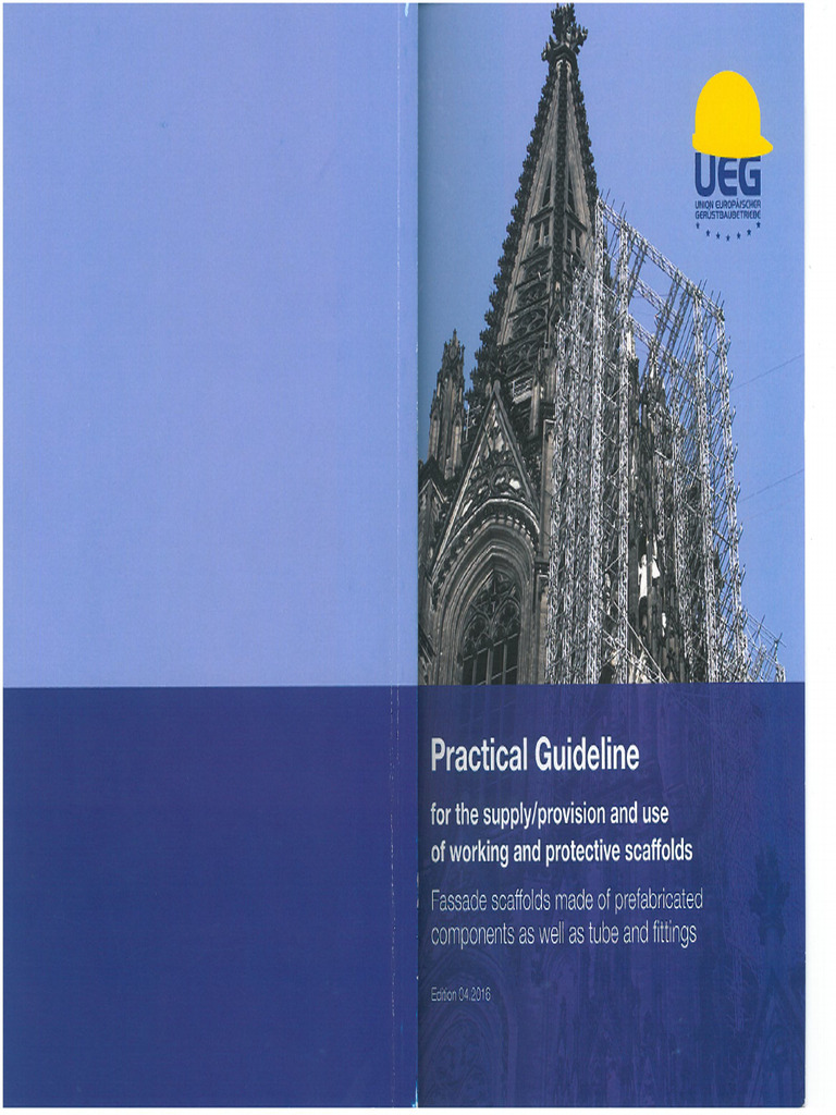 UEG Practical Guideline | PDF