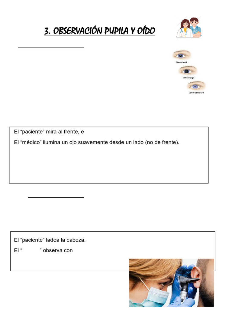 Pupila y Oído | PDF