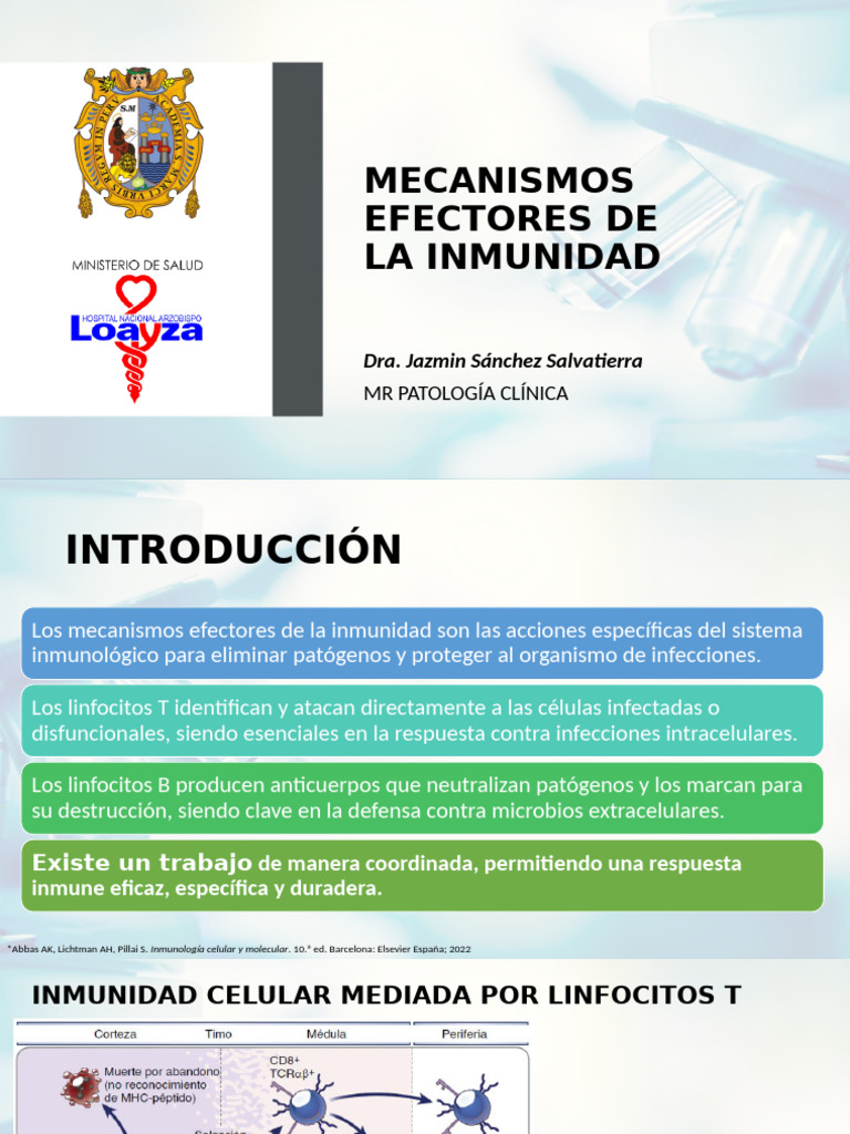 MECANISMOS EFECTORES DE LA INMUNIDAD Con Preguntas | PDF | Sistema inmune | Linfocitos