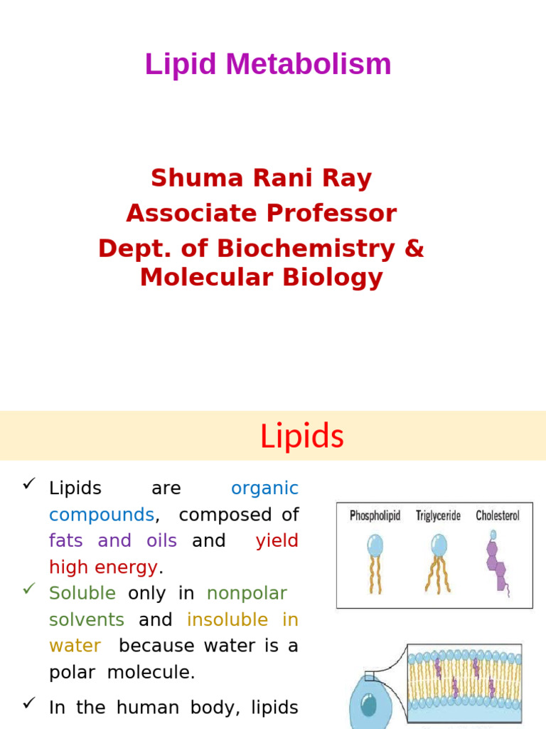 Lipid Metabolism Shuma | PDF | Lipid | Metabolism