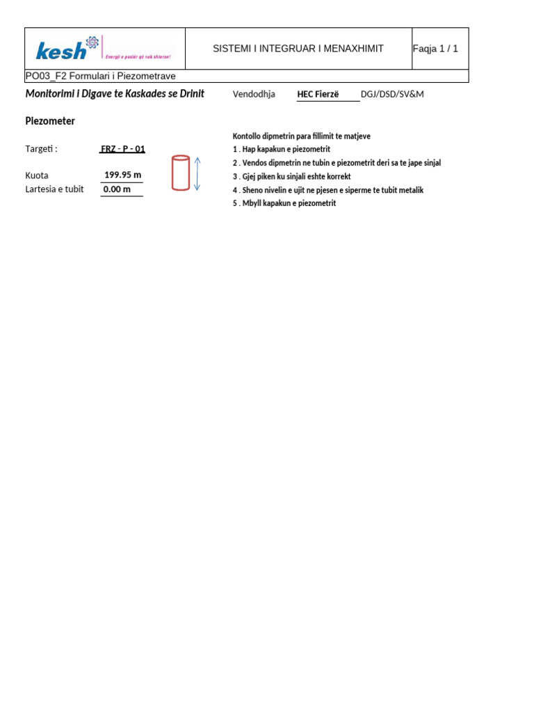 PO01 - F2.3 Formulari I Piezometrave Vau I Dejës | PDF