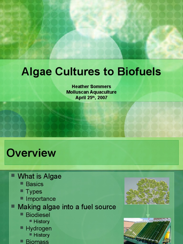 Algae Cultures to Biofuels | Biofuel | Biodiesel