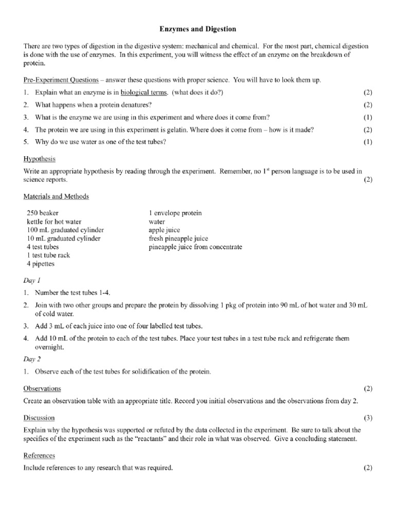 4 Enzymes and Digestion Lab - Docx - 01 - 4 Enzymes and Digestion ...
