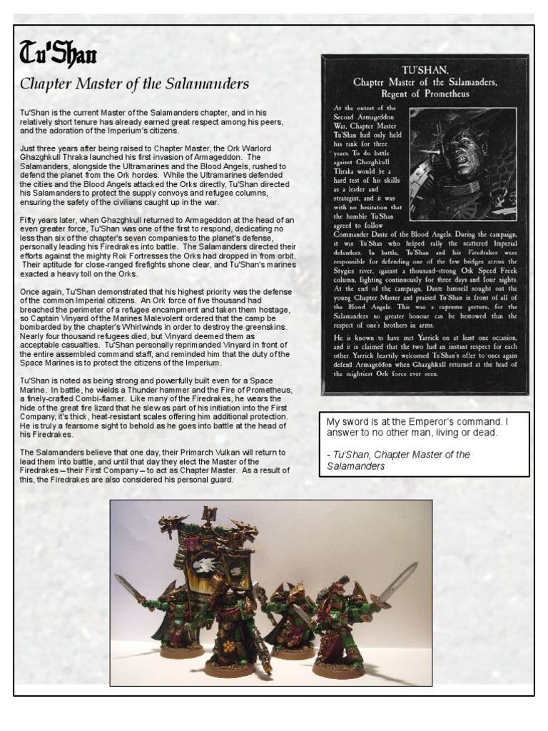 Special Character - Chapter Master Tu'Shan | PDF | Military Operations ...