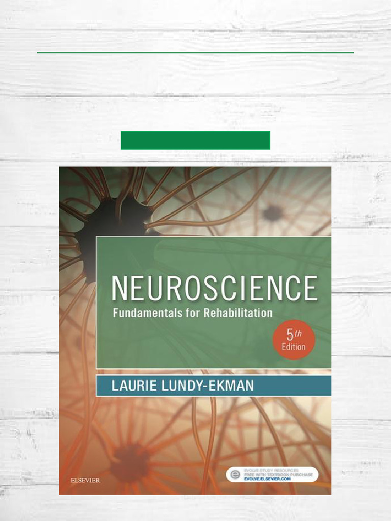 Most Loved Neuroscience Fundamentals For Rehabilitation 5th Edition ...