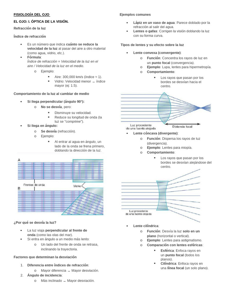 Óptica y Fisiología del Ojo | PDF | Percepción visual | Ojo humano