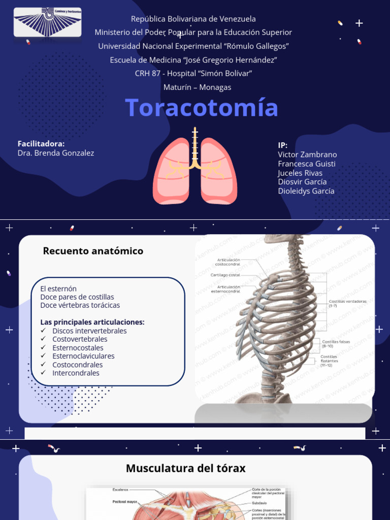 Toracotomia 120525 | PDF | Tórax | Pulmón