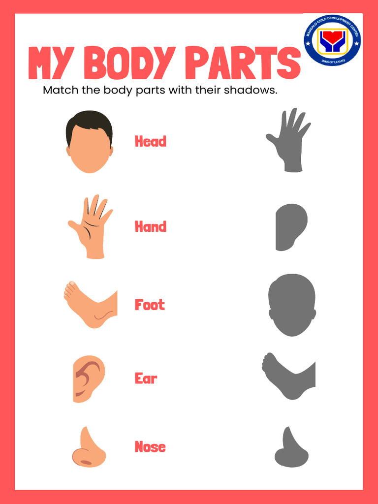 My Body Parts Pink White English Vocabulary Worksheet | PDF