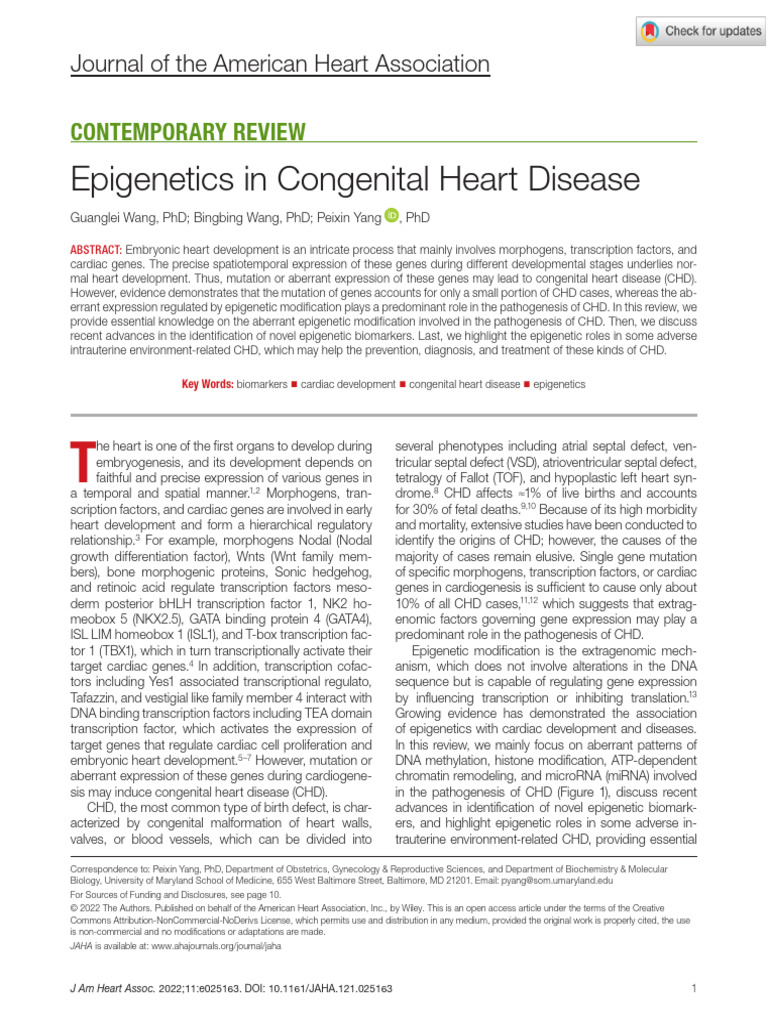Wang Et Al Epigenetics in Congenital Heart Disease | PDF | Histone ...