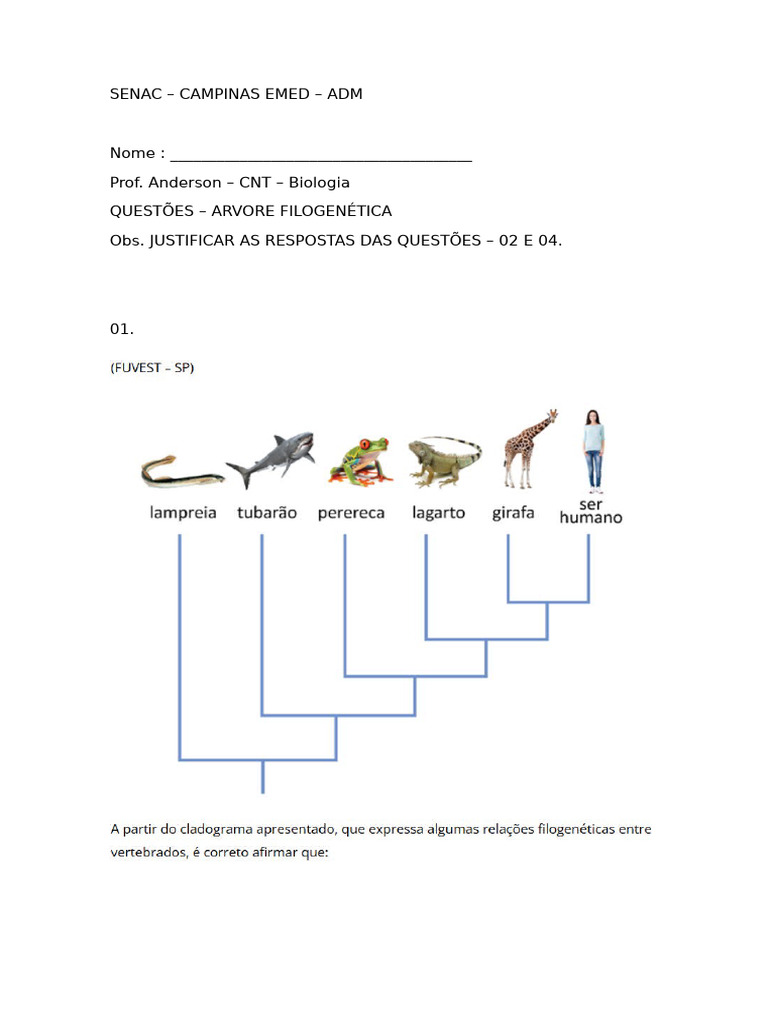 Questões Arvore Filogenética - 3 Ano - Cnt. Bio | PDF