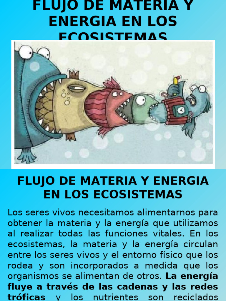Flujo de Energia en Ecosistemas 10º | PDF | Red alimentaria | Biologia ...