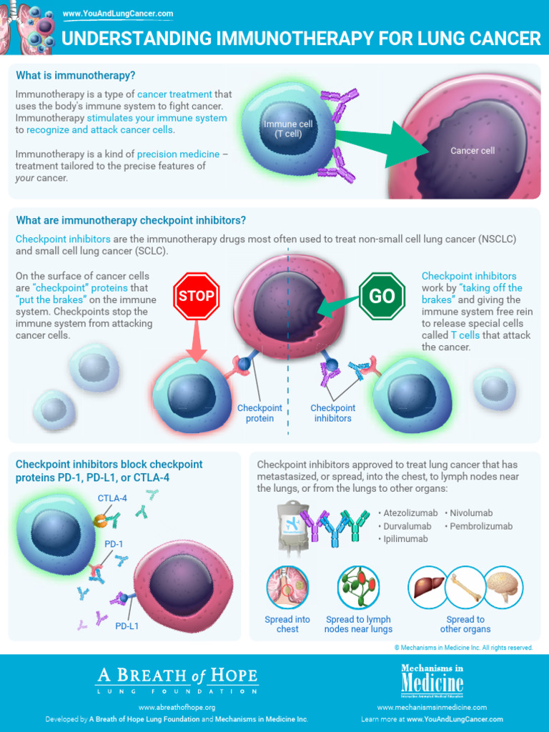 YouandLungCancer.com-understanding-immunotherapy-infographic | PDF ...