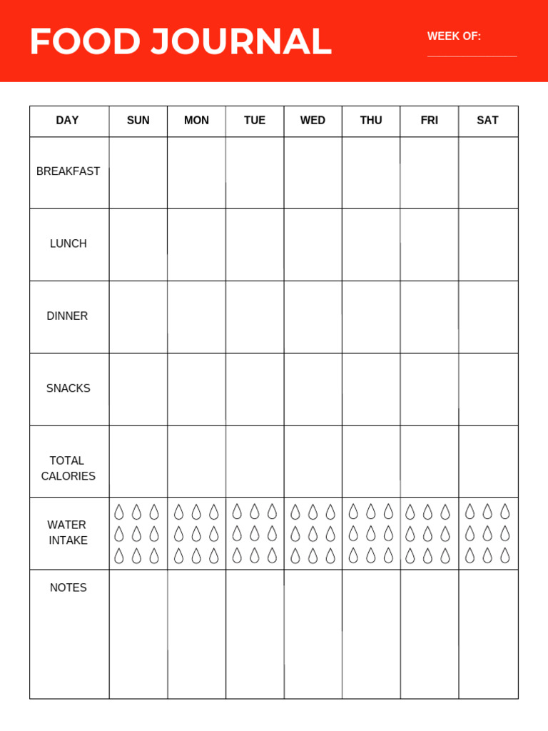 Food Journal | PDF