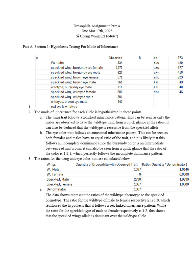 Drosophila Assignment Part A | PDF | Dominance (Genetics) | Phenotypic ...