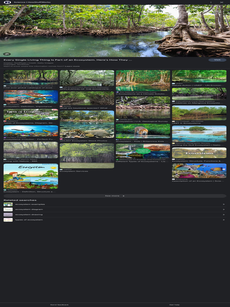 An Ecosystem Picture - Google Search | PDF | Ecosystem | Ecology