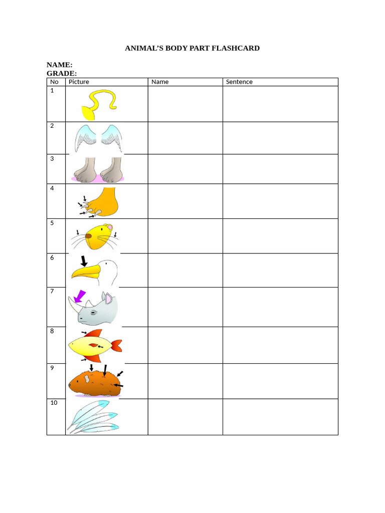 Animal's Body Part Flash Card | PDF