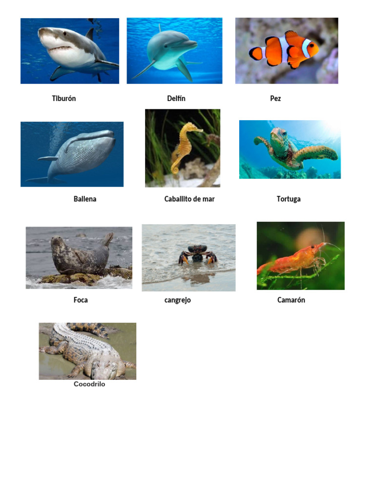 10 Animales Acuáticos Comunes | PDF
