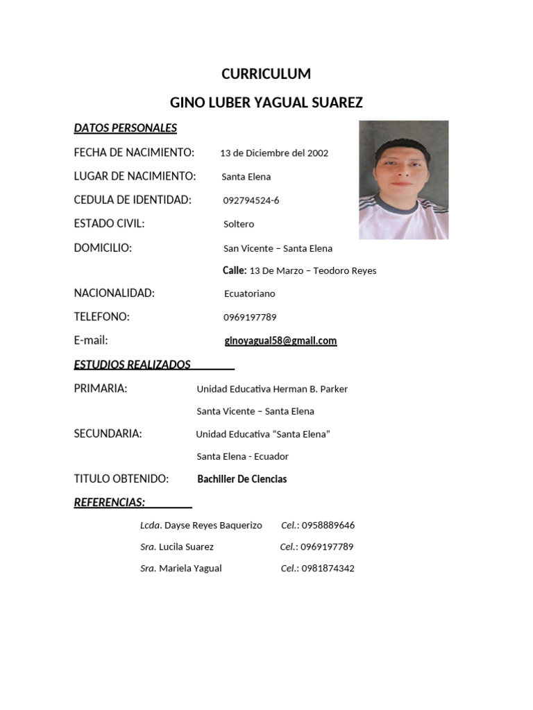 Hoja de Vida Gino 2.. | PDF