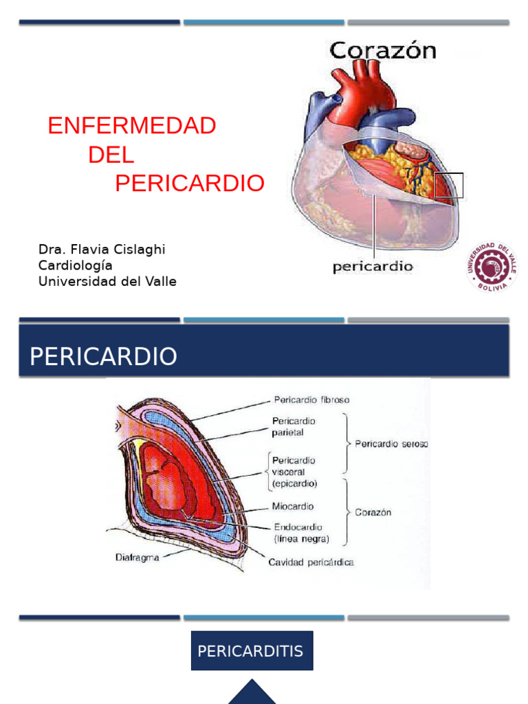 Enfermedades del Pericardio: Diagnóstico y Tratamiento | PDF ...