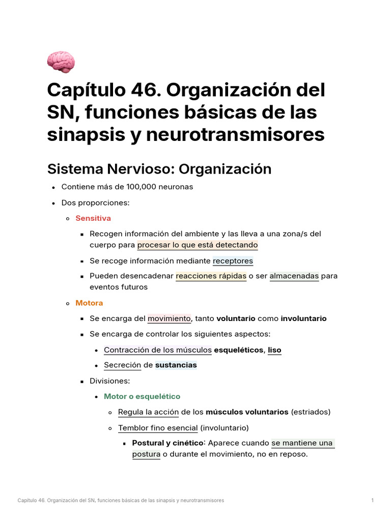 Capítulo 46. Organización Del SN, Funciones Básicas de Las Sinapsis y Neurotransmisores | PDF ...