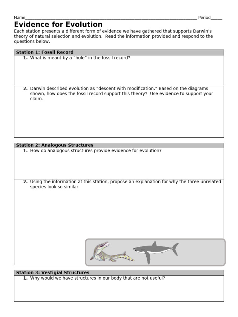 Evidence for Evolution Stations Guide | PDF