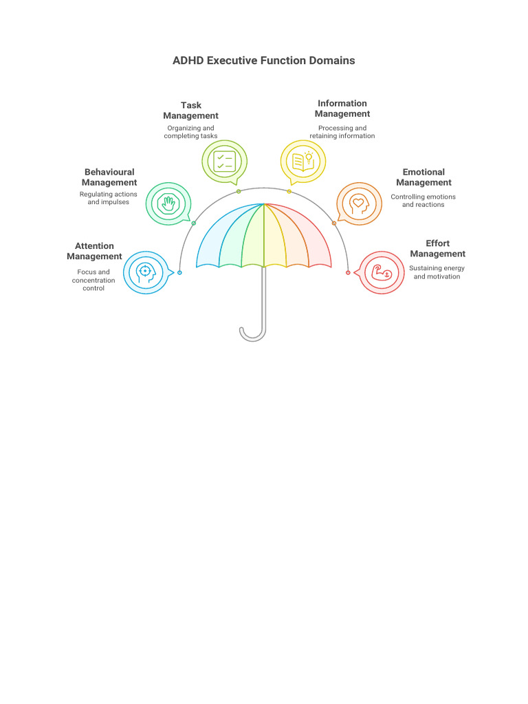(Info) ADHD Executive Functioning Domains | PDF