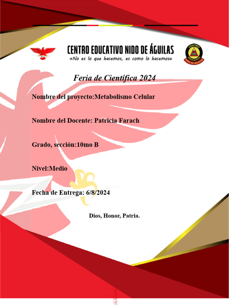 Formato de Informe de Proyecto (3) - 1 | PDF | Enzima | Catálisis