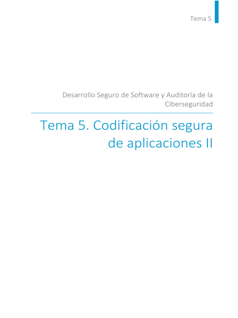 Tema 5 Codificación Segura de Aplicaciones II | PDF | Programación | Programa de computadora