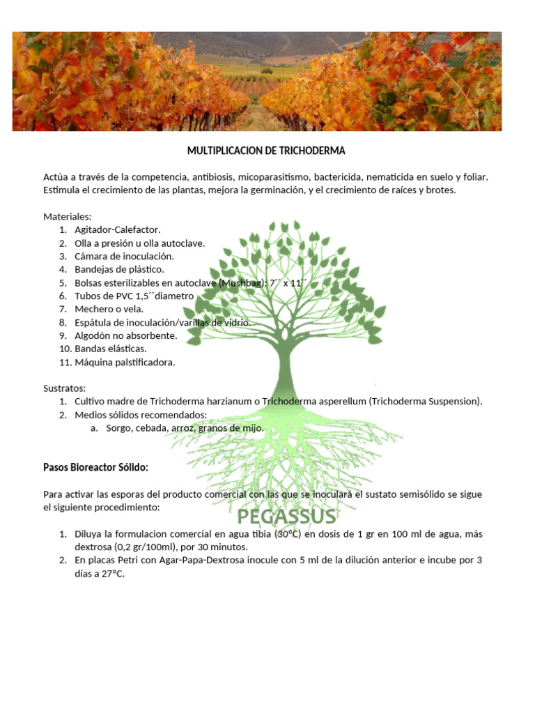 Multiplicacion de Trichoderma | PDF
