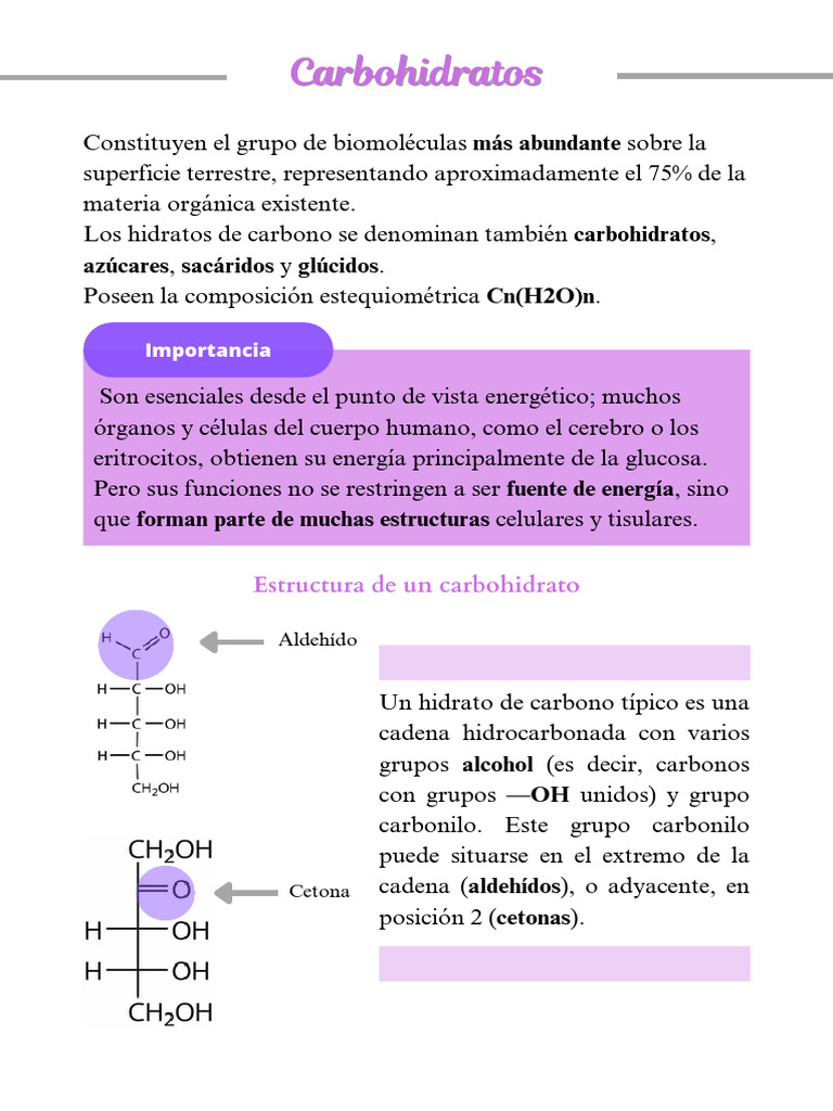 Biomoléculas Ebook MAPS | PDF | Carbohidratos | Lípido