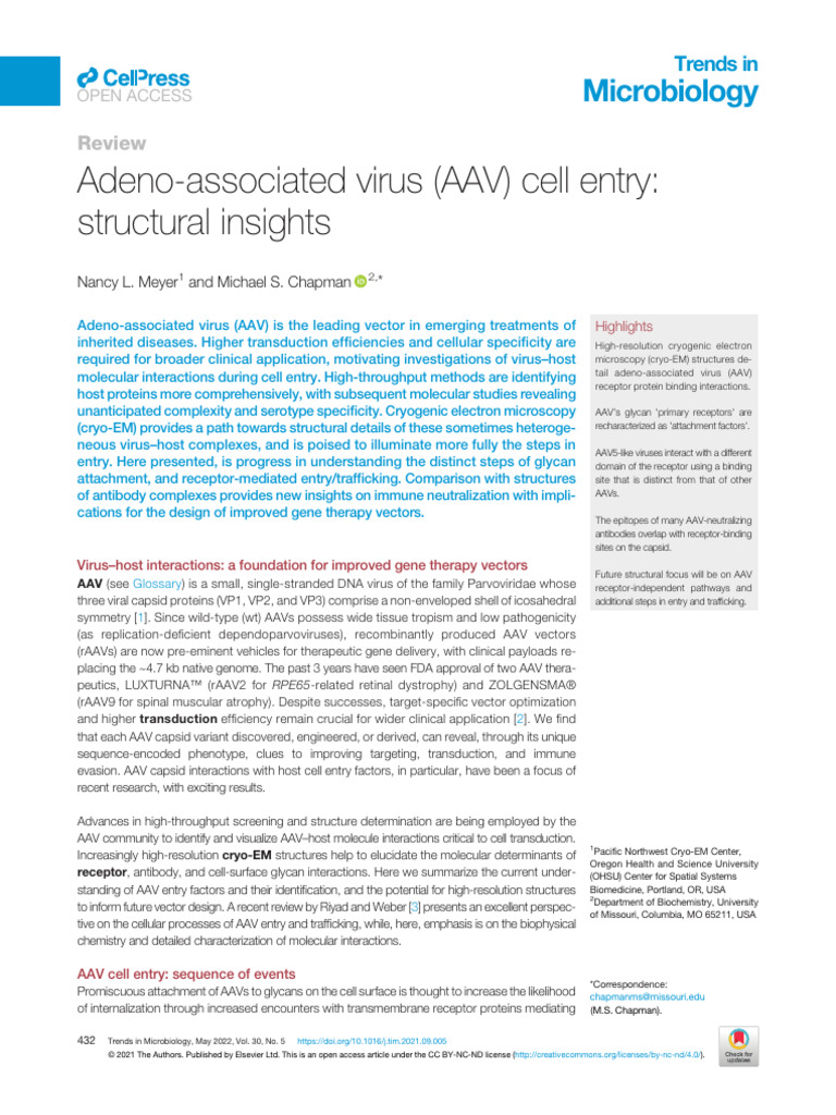 Adeno-associated-virus-(AAV)-cell-entry--structura | PDF | Antibody | Virus