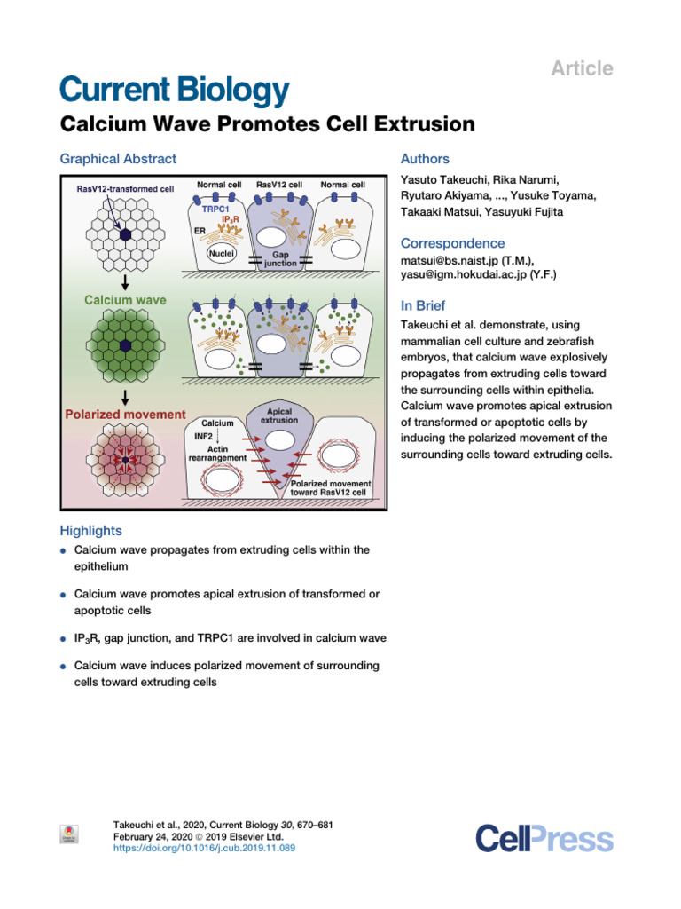 Calcium Wave Promotes Cell Extrusion - 2020 - Curbio | PDF | Cell ...