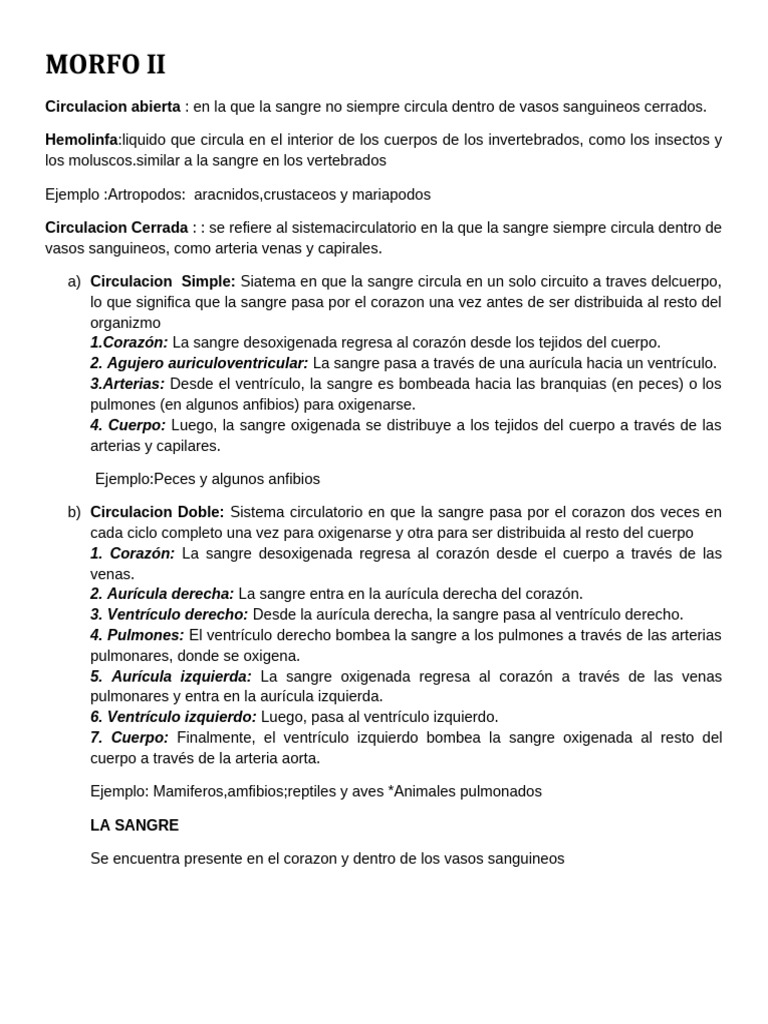 Morfo Ii | PDF | Corazón | Sistema circulatorio